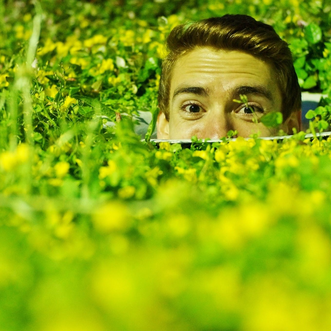 Alex Wolfe - Airtable Universe